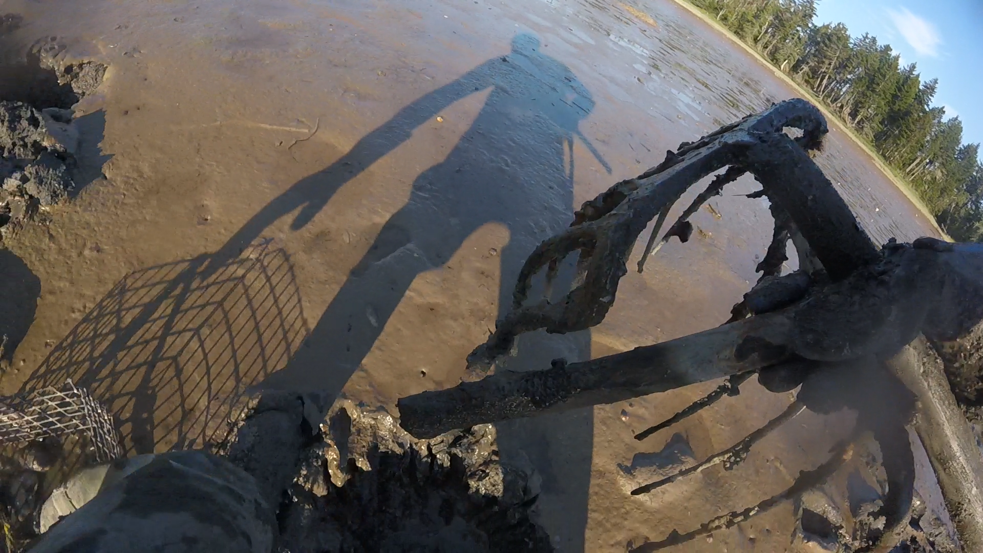 What is Clam Cam? – The Mudflat
