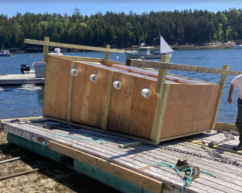 Harpswell: Tidal upweller experiment to enhance natural quahog ...